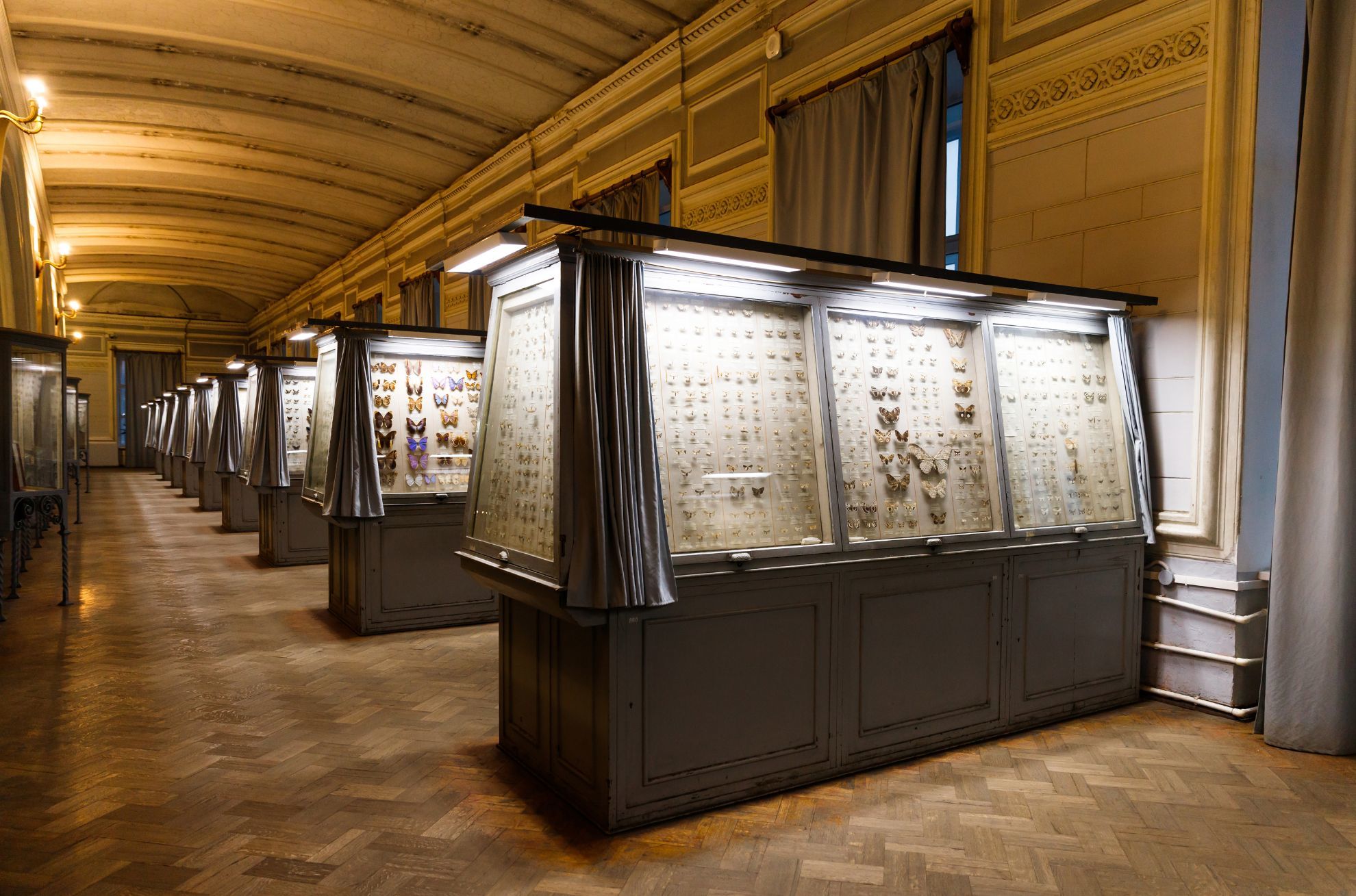 Security and Transport Glass and Glazing Specialists: Dellner Romag ...